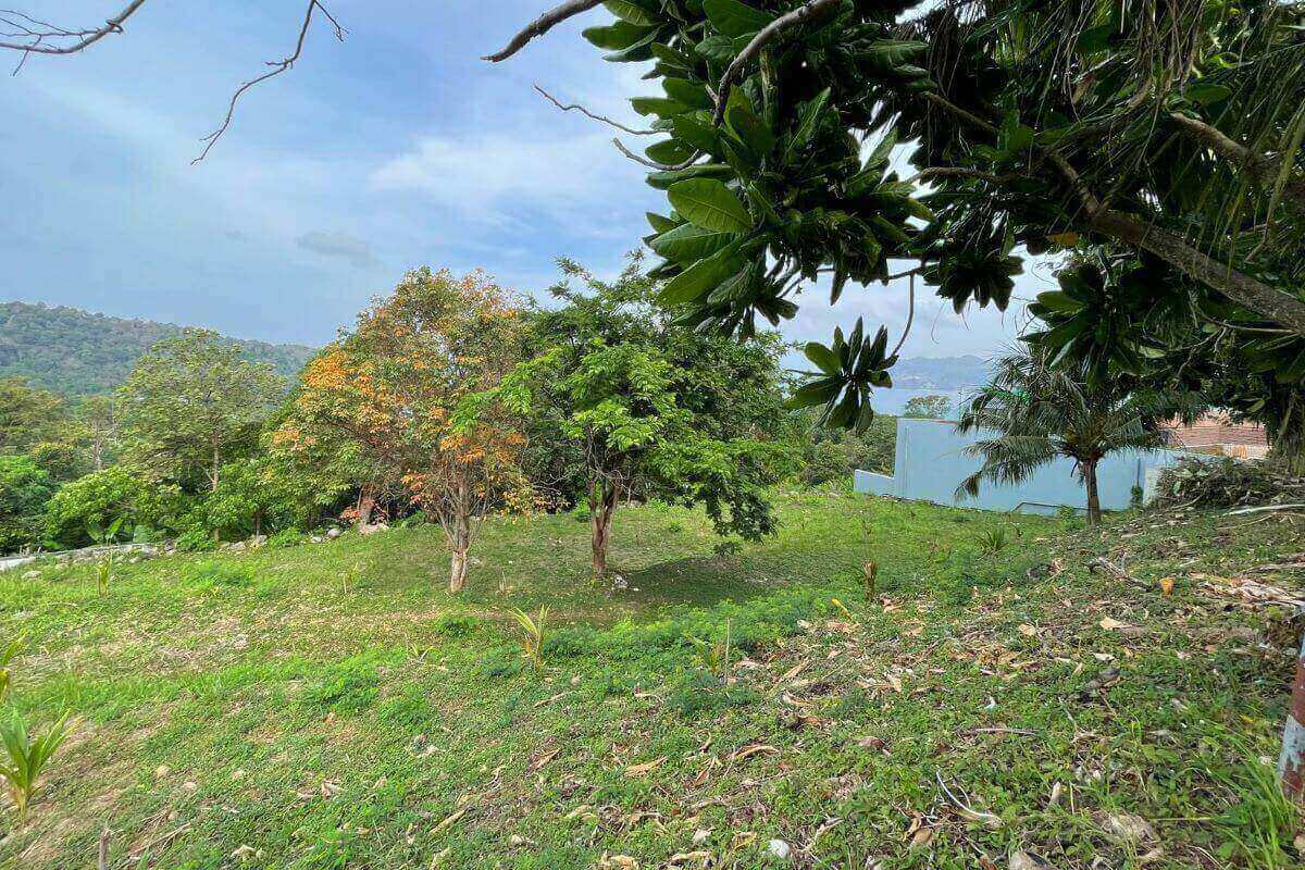 1,516 sqm Sea View Land with Road Frontage near Patong Beach, Phuket, ฿ ...